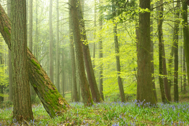 Spring Palace – Knowle Top Studios