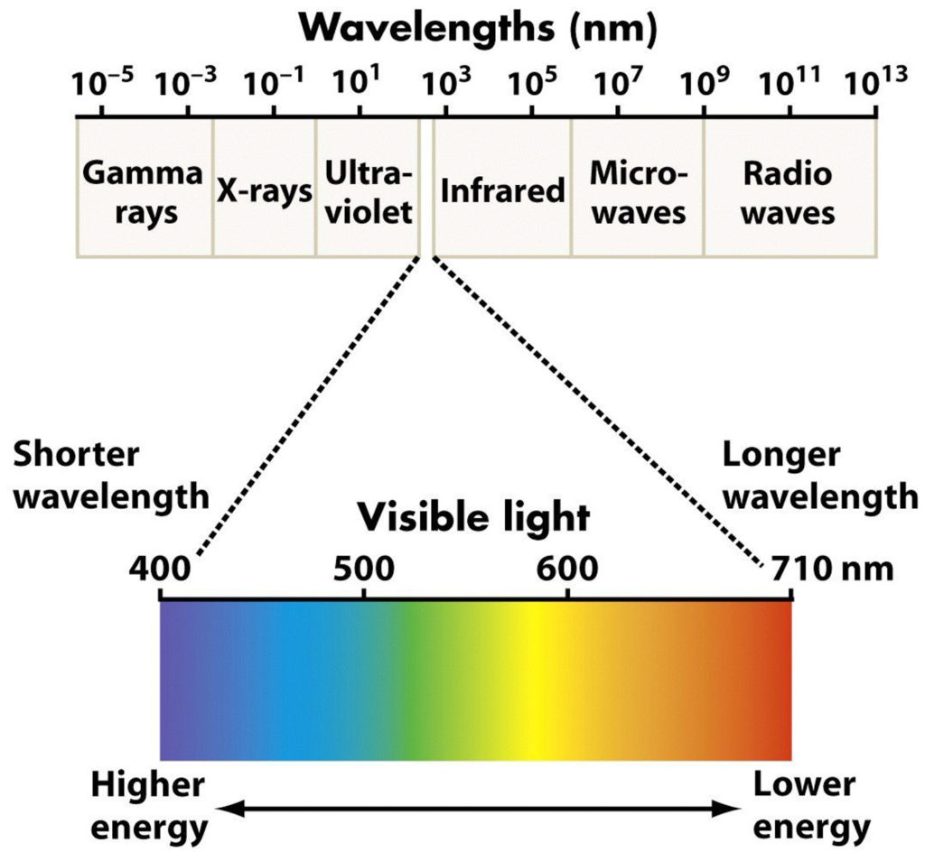Introduction to Infrared Photography – Duncan Phillips – Knowle Top Studios